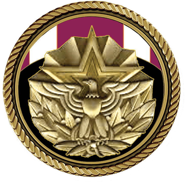 U.S. Armed Forces Meritorious Service - 3D Bronze Medallion – Hero ...